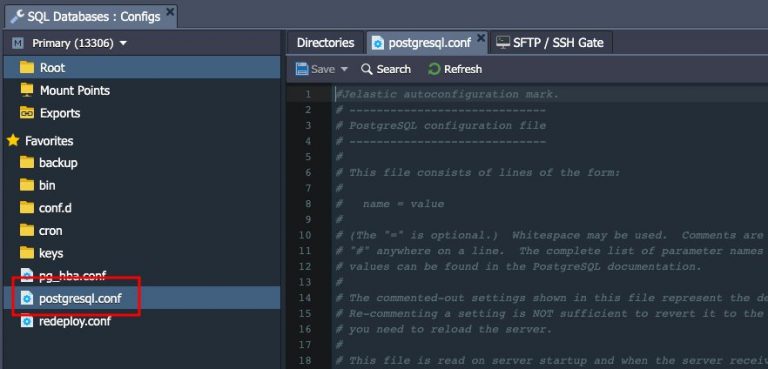 Postgresql Replication คู่มือการใช้งาน Ruk Com Cloud Paas