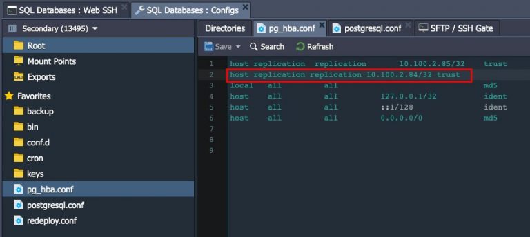 Postgresql Replication คู่มือการใช้งาน Ruk Com Cloud Paas