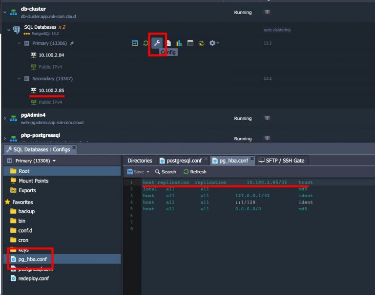 Postgresql Replication คู่มือการใช้งาน Ruk Com Cloud Paas